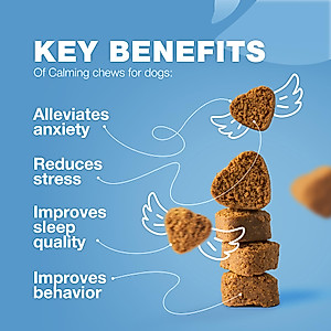 CHEWIA Hemp Calming Chews for Dogs Anxiety - 180 Duck Flavor Treats for Dog Calming with Valerian Root, Chamomile Extract & L-Theanine - Dog Chews for Vet Visits, Travel, Thunderstorms, Nail Trimming