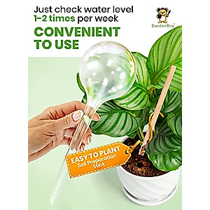 Plant Watering Globes Large Plastic XL Set of 4 - Automatic Plant Waterer Set for Indoor and Outdoor Plant Watering - Self Watering Planter Insert System with Plastic Watering Bulbs (4, Large )