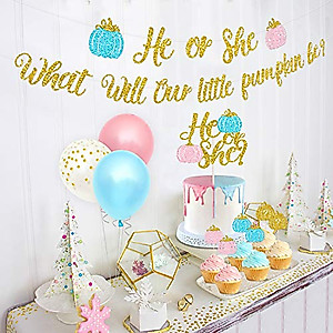 Pumpkin Gender Reveal Party Decoration Fall Baby Shower Banner He Or She Cake Cupcake Topper Pink Blue Balloons Boy Or Girls Sex Announcement Ideas Favor Supplies