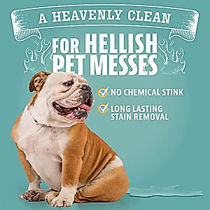 ANGRY ORANGE Pet Stain and Odor Remover - 2 Spray Pack - 32 oz Dog, Ferret, Rabbit & Cat Urine Enzyme Cleaner - 8 oz Strong Pet Odor Eliminator Concentrate - for Pee on Carpet, Furniture, Tile, Wood