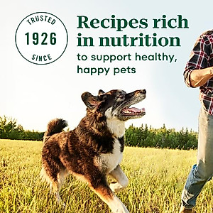 Nutro Max Adult Large Breed Dry Dog Food with Farm-Raised Chicken, 36 lb. Bag