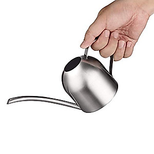 IMEEA Small Watering Can for Indoor Plants Stainless Steel Bonsai Watering can Mini Metal (15oz/450ml)