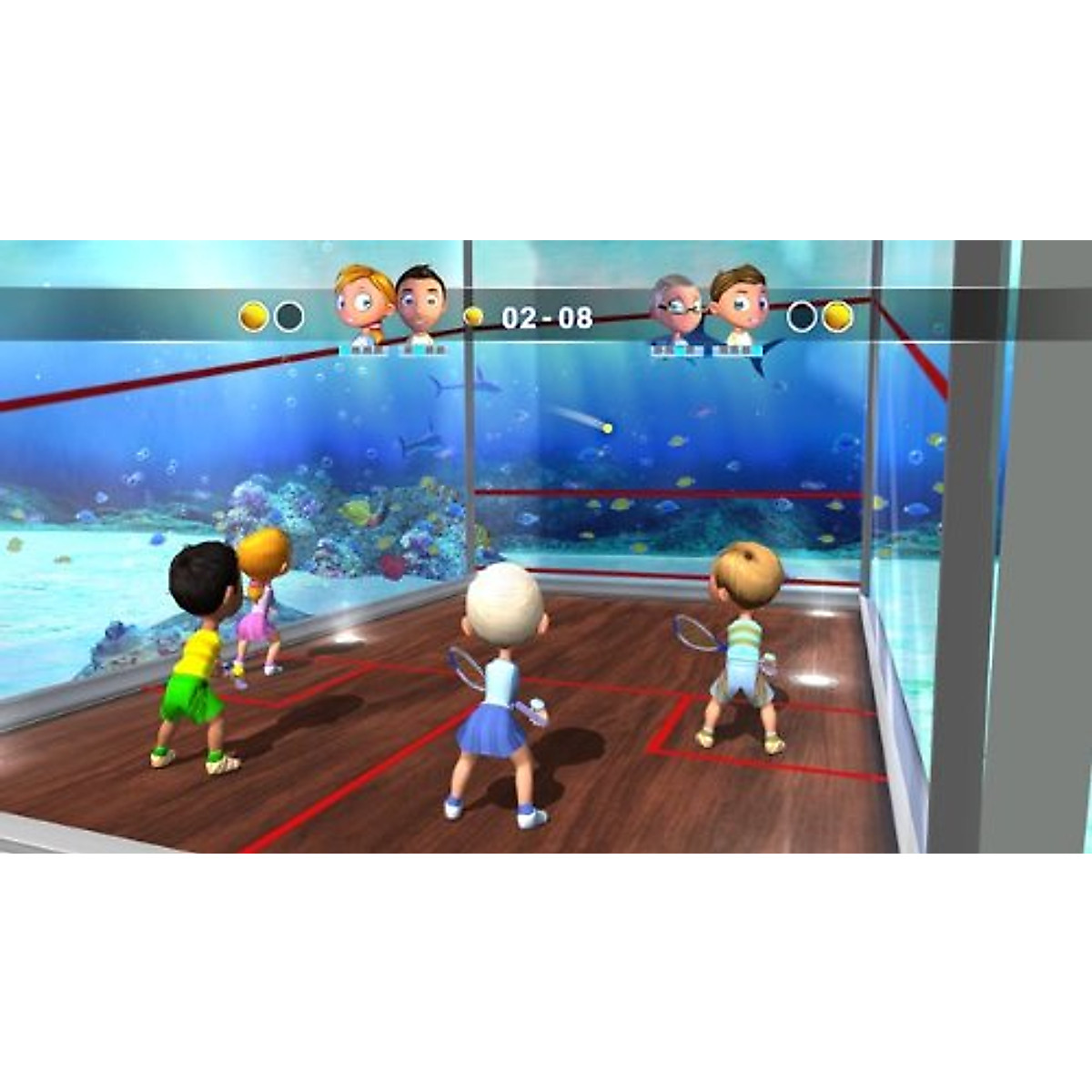 Racquet Sports with Camera - Nintendo Wii