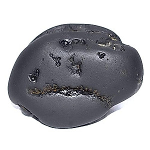 Rudrakshguru Laxmi Narasimha Shaligram - Gandaki River Nepal