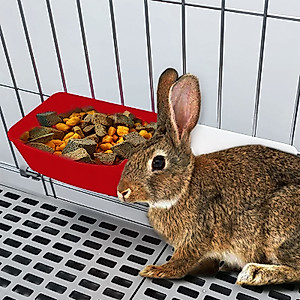 AMZSYLV 26 Pack Rabbit Feeder Waterer Chicken 21 oz Food Water Cage Cups Puppy Cat Hanging Feeding Dish Coop Bowl Watering Container Treats Drinker for Pigeon Bird Bath Basin Hamster Bed