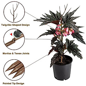 Twig Plant Support Stakes - Set of 4, 27.5 inch | Detachable Trellis for Potted Plants | Perfect Alternative to Moss Pole for Monstera and Other Climbing Houseplants Brown