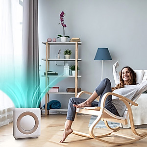 Brightify Air Purifier Filter Replacement for COWAY AP-1512HH Mightty,H13 HEPA Filter Replacement, 2 Pack with 8 Carbon Filters