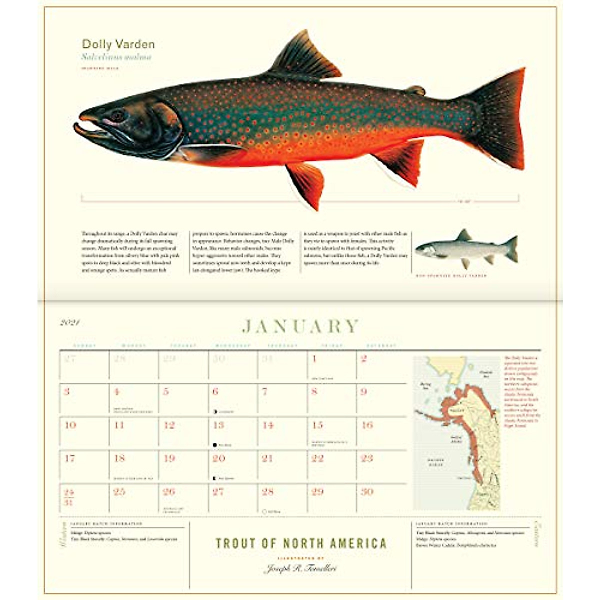 Trout of North America Wall Calendar 2021