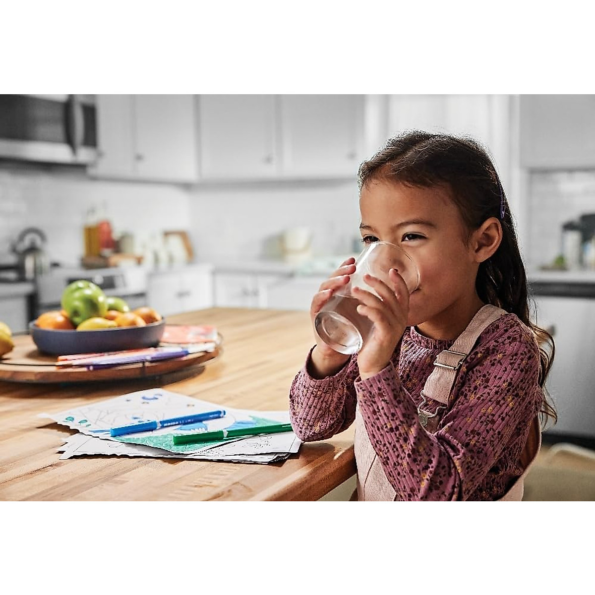 Frigidaire WF2CB PureSource2 Ice And Water Filtration System, White,1-Pack