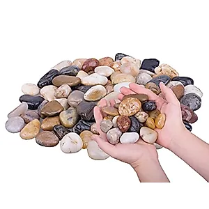 HOT SEAL 1.9 lb Mixed Color River Rock Stones 1~1.5", Natural Decorative Highly Polished Pebbles, Outdoor Decorative Stones for Plant, Aquariums, Landscaping, Garden Flower Bed, Vase Fillers