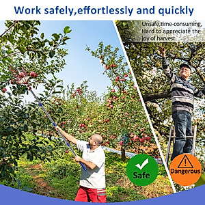 13FT Fruit Picker Pole with Basket Apple Orange Picker Tool Tree Fruit Catcher with Lightweight Stainless Steel Connecting Pole, Sturdy Basket with Foam Pad, Metal Clamp