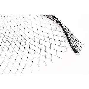 PetiDream Bird Netting -Stops Hawks,Birds from Plants ,Fruit Trees and Vegetables - Perfect as Garden Netting and Protective Net in 13ftx 33ft,Black