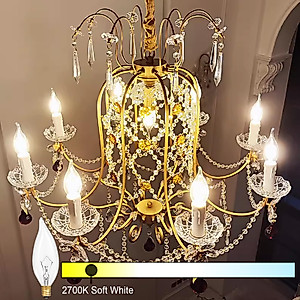 Potanro E12 Incandescent Light Bulbs 40Watt Warm White 2700K, 300 Lumens Candelabra Light Bulbs Decorative Dimmable Chandelier Light Bulbs for Ceiling Fan, Pendants (40W-12Pack)