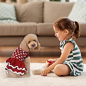 Puppy Dog Sweater Dress Valentine's Christmas Girl Red Winter Warm Dog Princess Dress Knitwear Pet Sweater XL