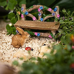 PRETMANNS Fairy Garden Fairies Figurines - Fairy for Fairy Gardens - Fairy Garden Accessories - Miniature Garden Fairy Bella & Outdoor Fairy Garden Supplies - Fairy Garden Starter Kit - 14 Pieces