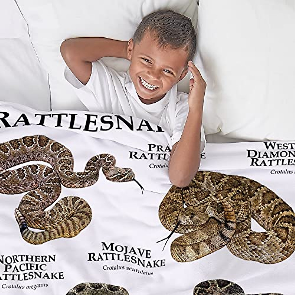 CafePress Rattlesnakes of North America Throw Blanket Super Soft Fleece Plush Throw Blanket, 60"x50"