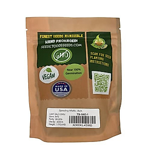 Todd’s Seeds - Alfalfa Sprouting Seeds - 1 Pound Bulk Alfalfa Seeds - Fast Growing Seeds with High Sprout Germination