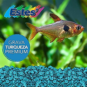 Spectrastone Special Turquoise Aquarium Gravel for Freshwater Aquariums, 5-Pound Bag 2 Pack