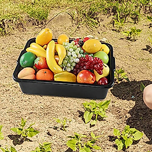 Cinkyou 13L 4-Pack Commercial Bus Tub, Plastic Bus Box, Black