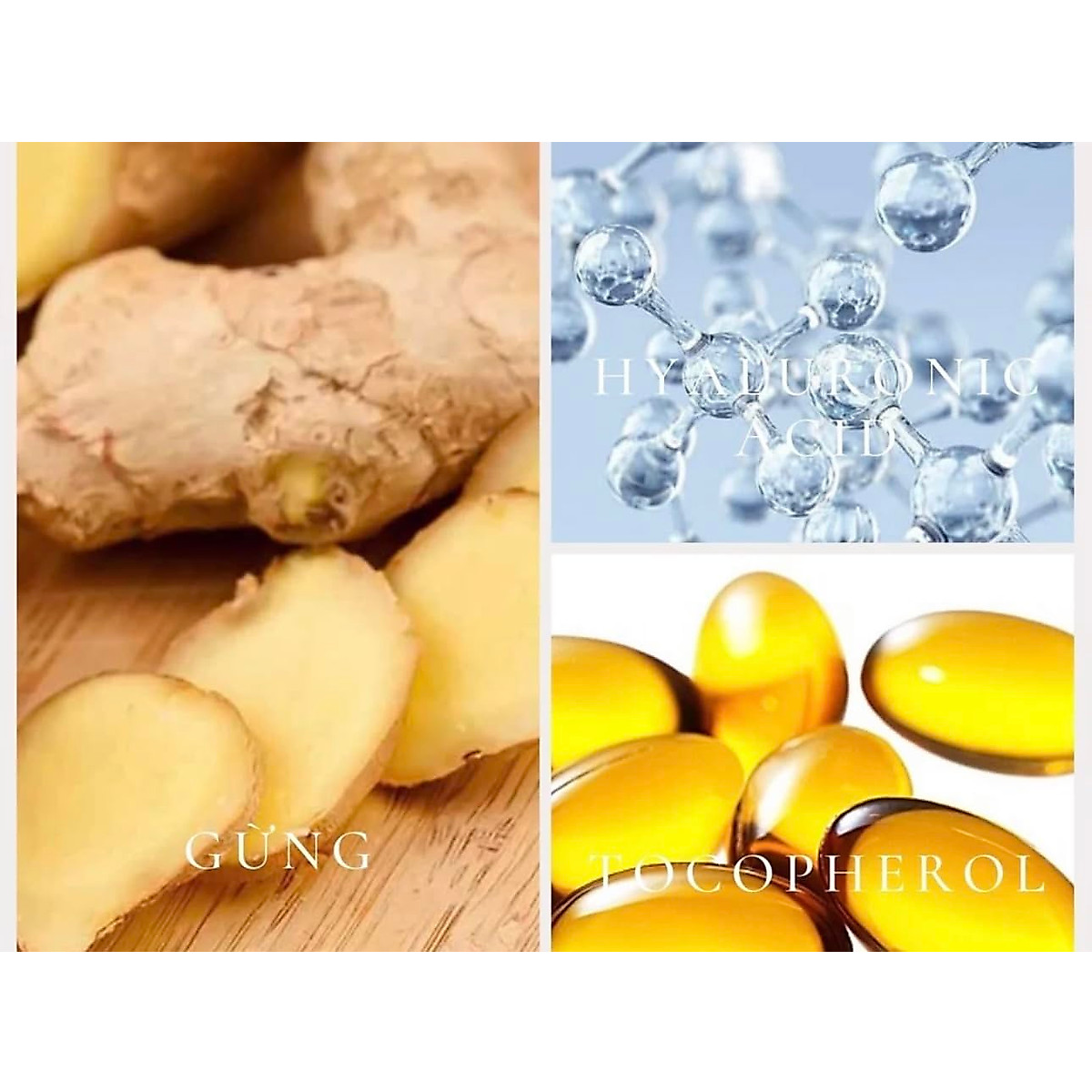 WEILAIYA White Ginger Prevent Hair Loss Shampoo 14g and Conditioner 14g Mini sample/travel/test try set for Normal/Oily Hair & Scalp