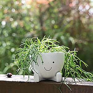 AIMEBBY Face Flower Pot Face Head Planter for Indoor Plants Succulent Planters with Drainage Hole Resin Planter 4 Inches