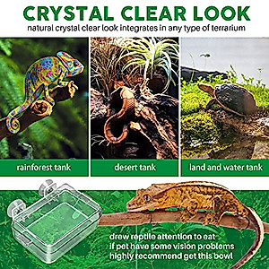 2 Pack Reptile Water Food Dish 1 Feeding Tongs,Tank Accessories for Lizard Bearded Dragon Leopard,Crested Gecko Chameleon Tortoise Frog Hermit Crab Iguana,Superworm Dubia Mealworm Escape Proof Bowl