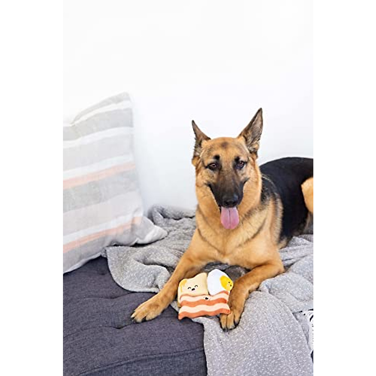 Pearhead Barkfast Dog Toys, Set of 3, Plush Pet Squeaker Toys, Breakfast Dog Toy Set, Toast Bacon & Egg Toy Set, Must Have Pet Accessories for Pet Owners