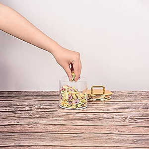 16 oz Small Acrylic Storage Apothecary Jar with Gold Airtight Lid | Bathroom Vanity Organizer Containers | Perfect Decorative Canisters for Shells, Bath Salt, Cotton Swabs, Cotton Ball, Flossers