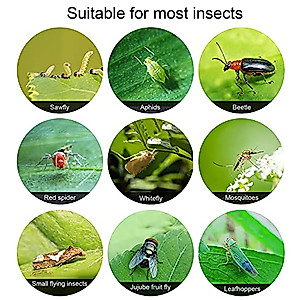 20 Pack Blue Sticky Trap Fungus Traps, Gnat Killer Fruit Fly Paper Moth Traps for Thrips Indoor Outdoor
