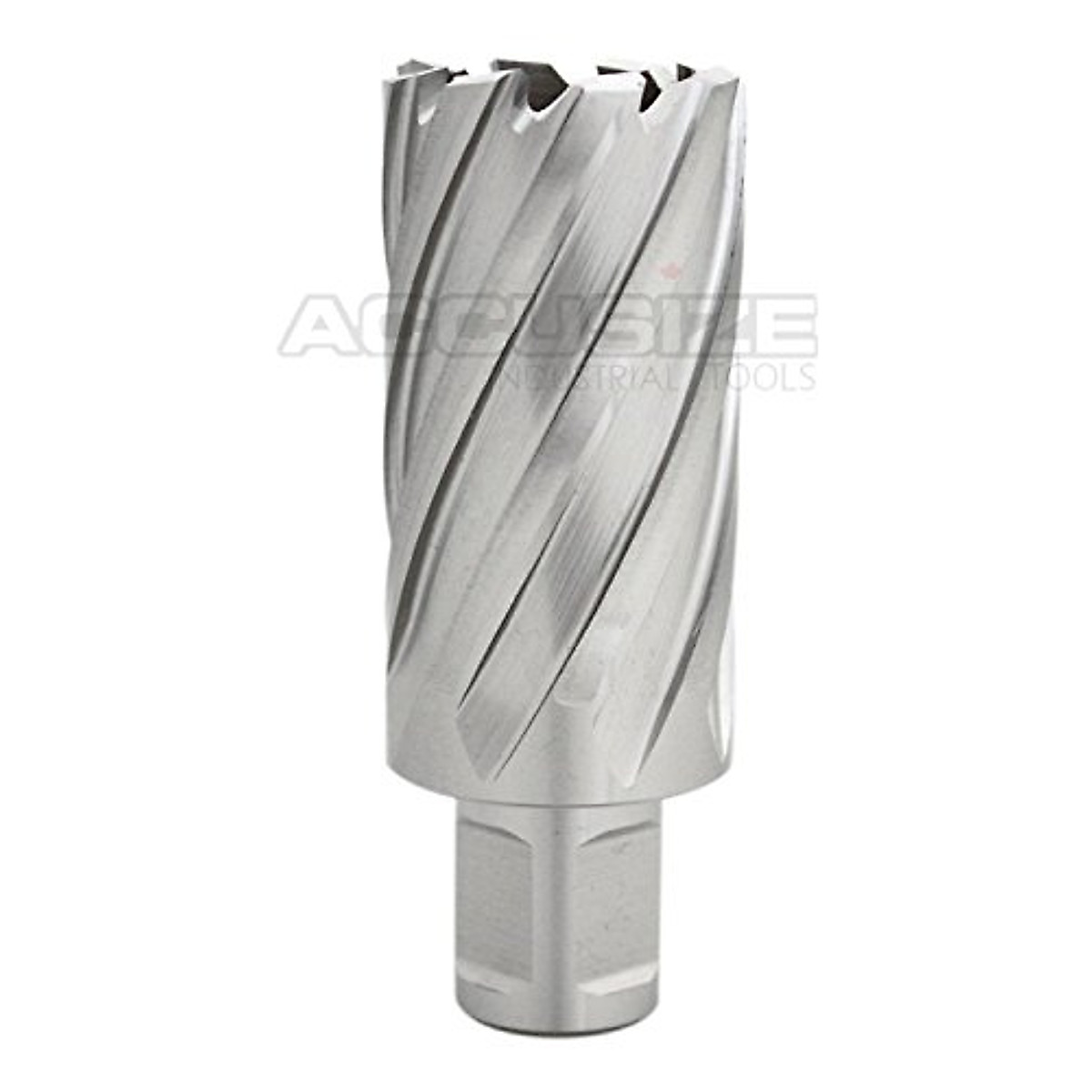 Accusize Industrial Tools 1-1/4'' Diameter x 2'' Depth Hss Annular Cutter Set and 1 Pilot Pin, 3/4'' Shank, 2081-2025pin