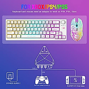 FELICON 2.4G Wireless Mini Gaming Keyboard and Mouse Combo, RGB Backlit TKL Mechanical Feel Keyboard and 7 Color Crack Illuminate Mouse, Mouse Pad for Windows, Computer, Desktop, PC, Notebook