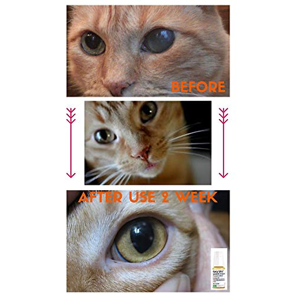 KARRYUNI X2 Pcs 10 ML, Best Pet Eye Drops Cataracts & People Exact Result, Safe & Gentle Formula, Promotes Eye Clarity & Dryness Eye in PPL Pets & All Animals Dogs, Cats Pet Care Eye Ointment Drops