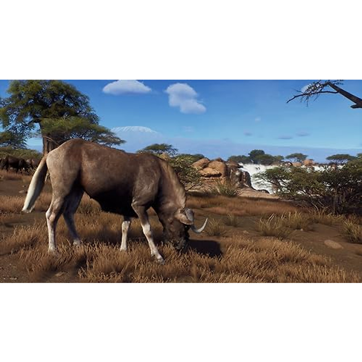 Way of the Hunter - Hunting Season One - Xbox Series X