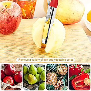 KUFUNG Apple Corer - Easy to Use Durable Apple Corer Remover for Pears, Bell Peppers, Fuji, Honeycrisp, Gala and Pink Lady Apples - Stainless Steel Best Kitchen Gadgets Cupcake Corer (M, Red)