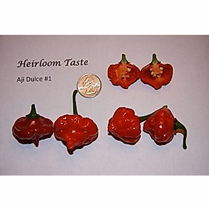 AJI DULCE #1,Pepper Seeds,Known As ajicitoo,aji gustoso,ají cachucha & sweet (100 Seeds)