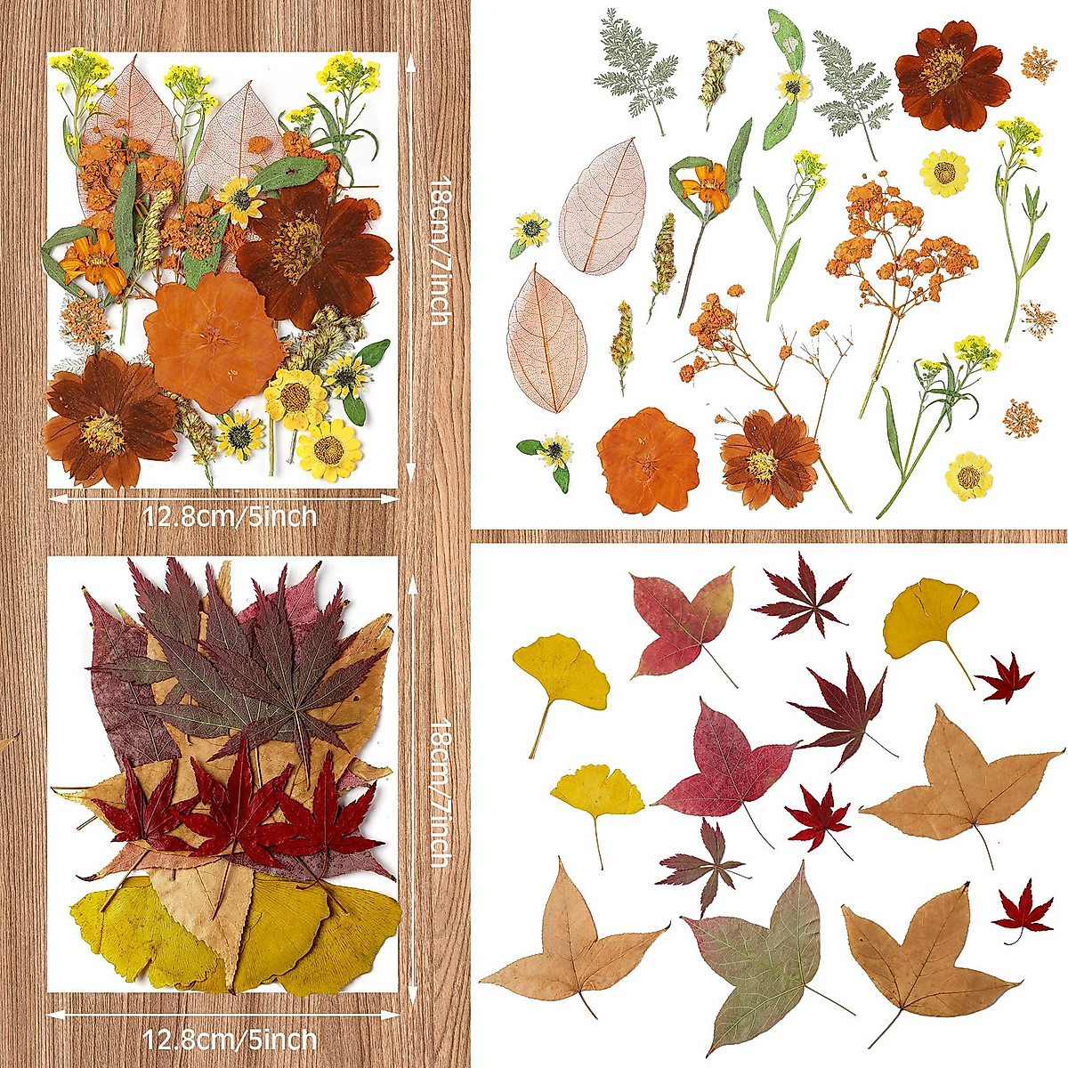 Pressed Flowers Bulk Dried Flower for Resin Mold, Dried Flower Leave Natural with Tweezer for Crafts Christmas DIY Gift Scrapbooking(Graceful Style)