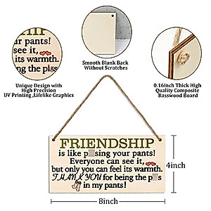 Funny Best Friend Birthday Gifts for Women Friendship Gifts for Women Friends Unique Personalized Plaques Gift for Girl Women Female Friends Wall Art Decor Wooden Sign Bff Gifts for Women Under 10 Dollars