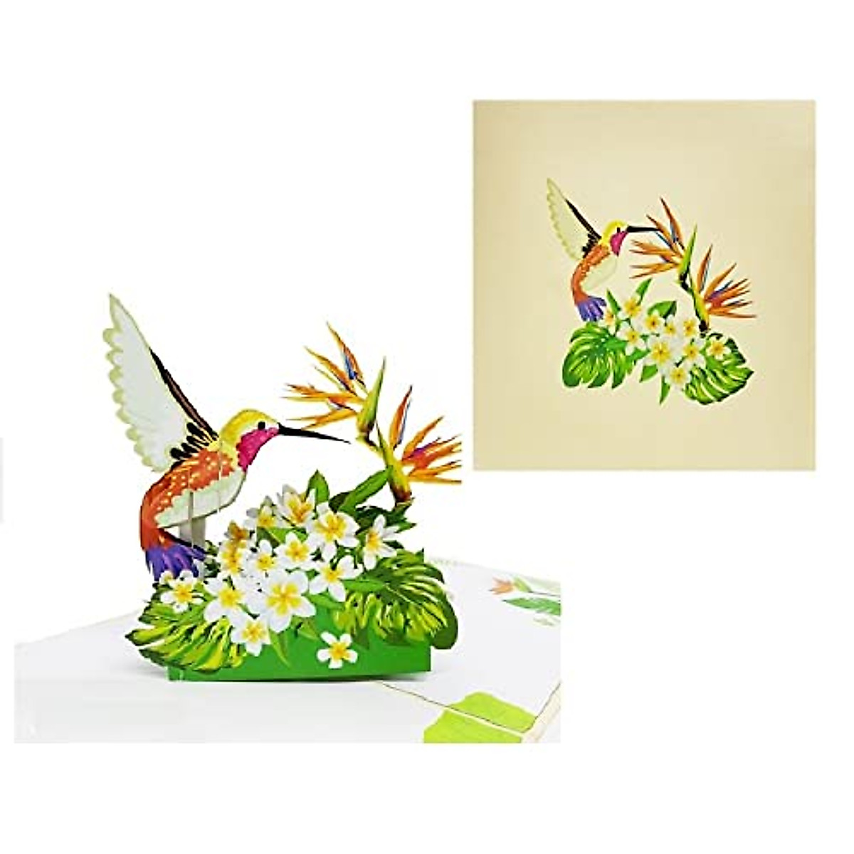 ETA 3D Floral Hummingbird Pop Up Card, Birthday Card, Thank You Card, Mother's Day Card, Nature Card, Congratulate with 3D Bird, Laser Cut, Handmade in Vietnam, 5.9 in x 5.9 in