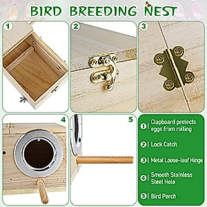 Frjjthchy Parakeet Nesting Box, Bird Nesting Box Wood Cockatiel Nesting Box for Lovebird Cockatiel Budgie Finch Conure Durable Aviary Cage (L)