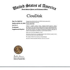 Cloudisk Small Capacity 10 Pack 256MB Micro SD Card in Bulk Pack (NOT GB) with SD Adapter USB Card Reader Memory Card for Small Data, Files, Advertising or Promotion (Too Small for Any Videos)