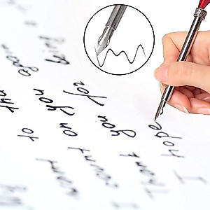 Feather Quill Pen and Ink English Calligraphy Pen Set Antique Dip Pen with Ink and 6 PCS Nibs for Drawing,Writing, Best Holiday gifts