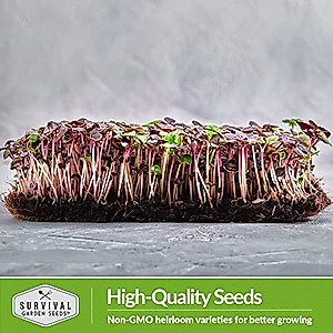 Survival Garden Seeds Opal Basil Microgreens for Sprouting and Growing - Seed to Sprout Green Leafy Micro Vegetable Plants Indoors - Grow Your Own Mini Windowsill Garden - Non-GMO Heirloom Variety