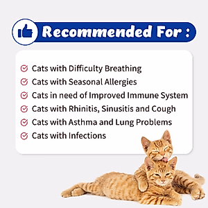 Branvine Respiratory Guardian for Cats - Supports Lung Health, Nasal, Bronchial and Oxygen, Vegan Bacon Flavor (117g) with Quercefit® and Respiratory Probiotics