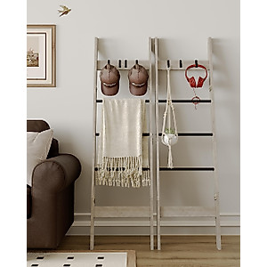 Hzuaneri Blanket Ladder for Living Room, Decorative Quilt Rack with 4 Removable Hooks, 5-Tier Farmhouse Ladder Holder Shelf Organizer for Bedroom, Greige and Black BR02105B