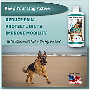 NODENS Dog Hip and Joint - Concentrated Glucosamine for Dogs with Chondroitin – Dog Joint Supplement for Natural Dog Pain Relief Anti-inflammatory for Improved Joint Flexibility and Mobility - 942 ml