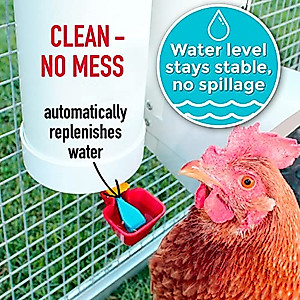 Royal Rooster Chicken Feeder and Chicken Waterer Set - 7 lb Poultry Chicken Feeder with Rain Cover and 1 Gallon Waterer System - Chicken Coop Accessories: Valve-Cup Waterer and Gravity-Feed Feeder Set