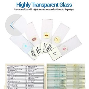 120+60 Microscope Slides with Specimens, Prepared Microscope Slides for Microbiology, Prepared Microscope Slides for Adults/Kids