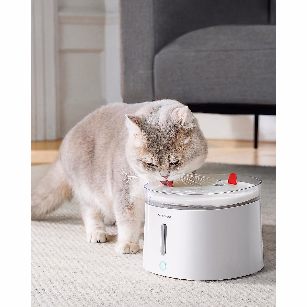 Homerunpet Cat Water Fountain Porcelain-Tray with Self-Cleaning Wireless-Pump, Ultra Quiet Pet Water Fountain for Cats and Dogs, Easy to Clean and Assemble, Filters Included, Smart LED Light, 68oz/2L