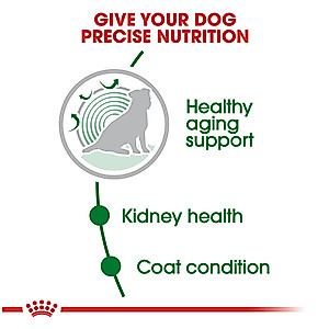 Royal Canin Small Aging 12+ Dry Dog Food, 2.5 lb bag