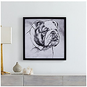 Amazon Brand – Stone & Beam Modern Black and White Print Wall Art of English Bulldog, Black Frame, 22" x 22"